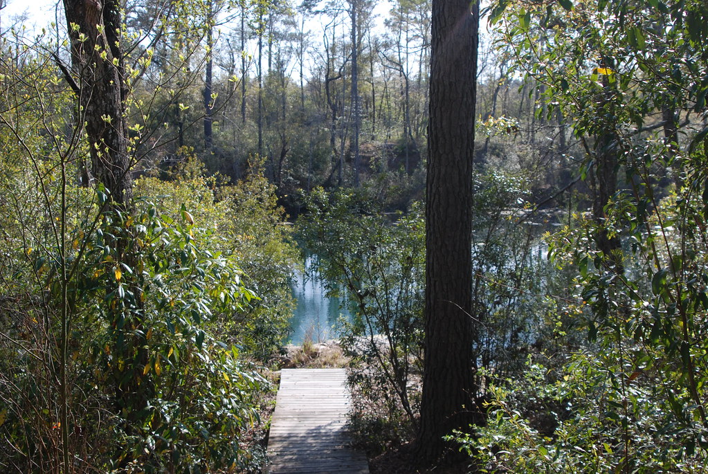 Top 7 Alcohol & Drug Rehab Centers in Woodville, FL for 2025